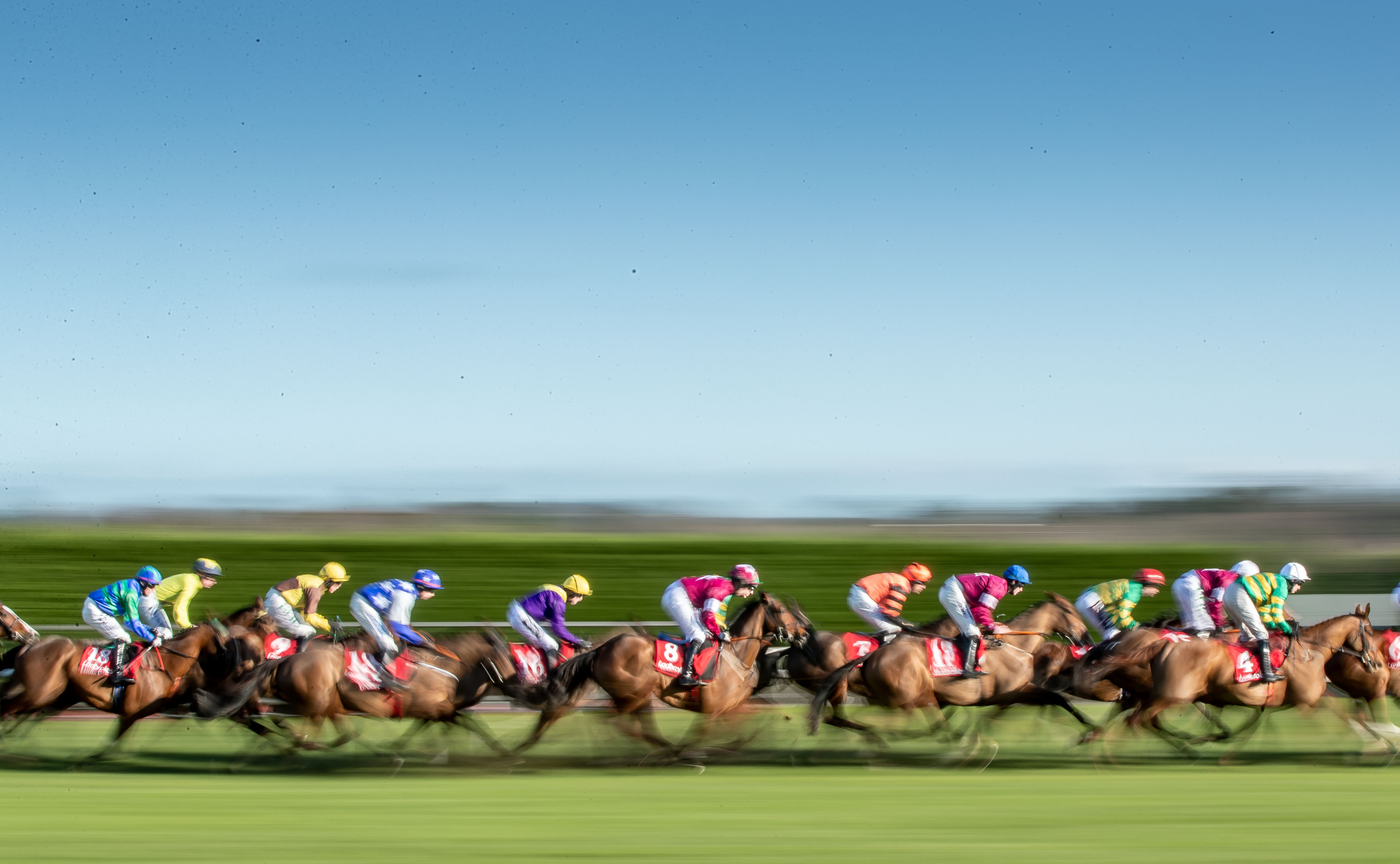 Dublin Racing Festival - 31st January 2026 | Levy Ireland